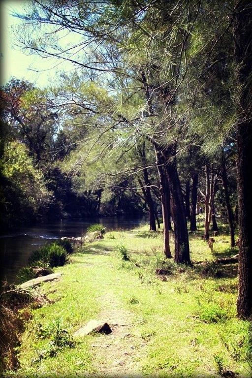 Photo Album – Lostock Dam Caravan Park